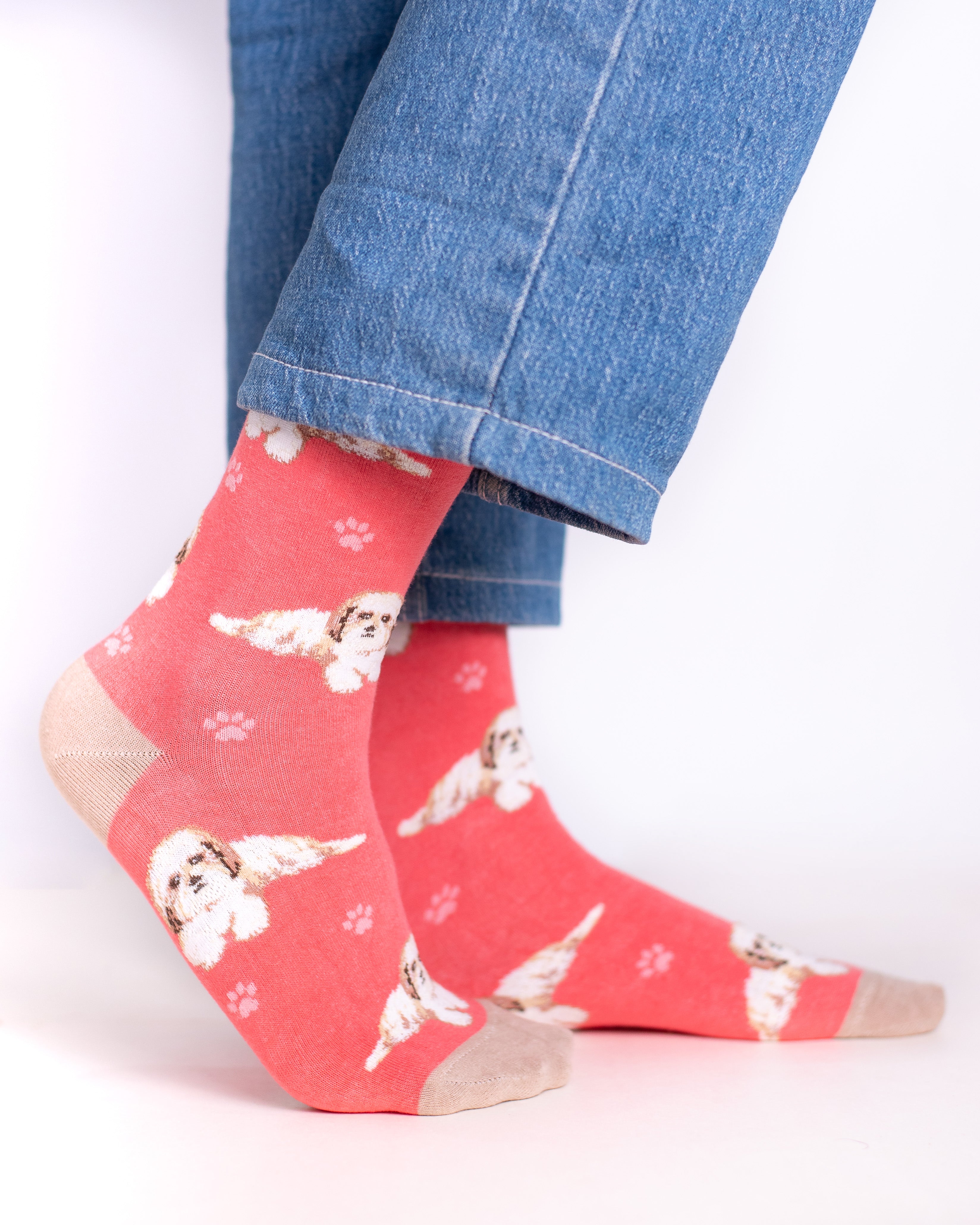 Ready Dog Funky Socks SN171 – Socks Nation